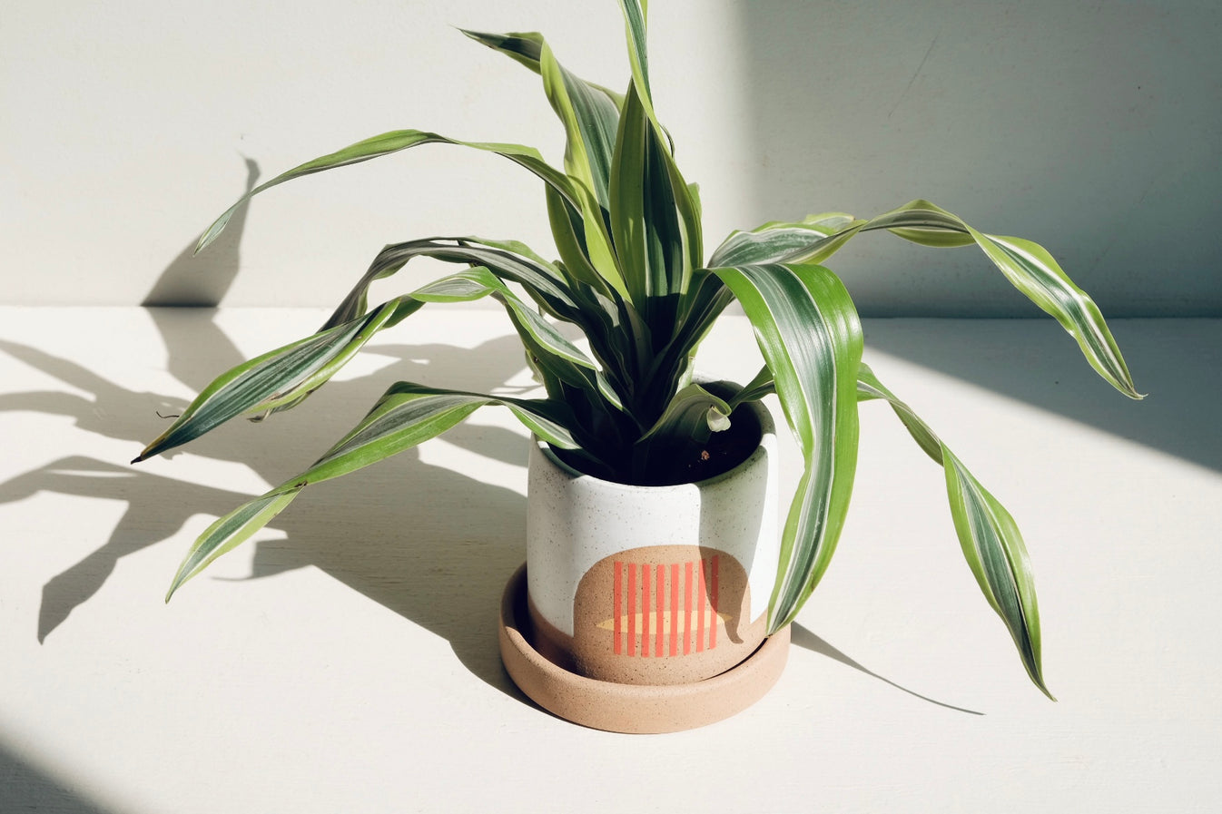 Planter with Tray | Handmade Plant Pot | Wolf Ceramics
