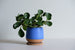 Planter with Tray | Handmade Plant Pot | Wolf Ceramics